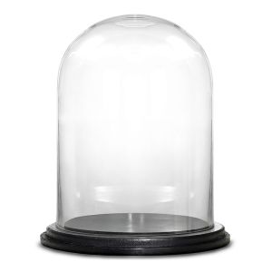 Glass Cloches and Domes | Glass Vases Depot