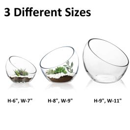 Glass Terrarium Bowl Slanted Slant Cut For Succulent Plant Container ...